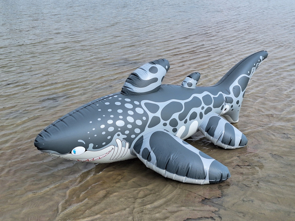 Triakis - Inflatable Leopard Shark by Buteo – Horseplay Toys